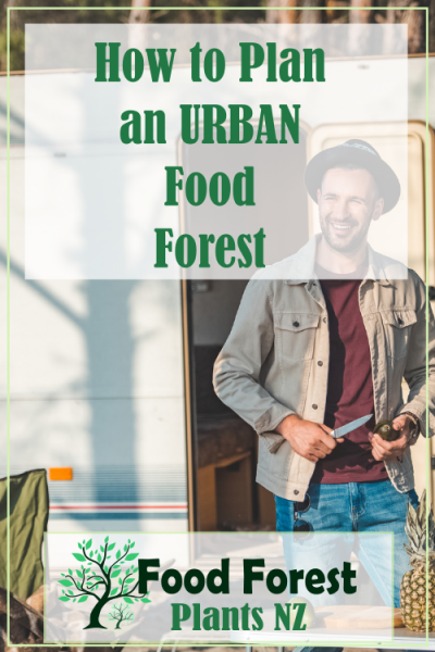Planning an Urban Food Forest - Food Forest Plants NZ